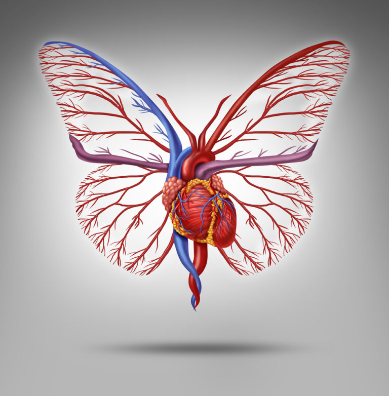 Cadence Vein Institute Pulse Cardiology cadence-vein-institute-pulse-cardiology